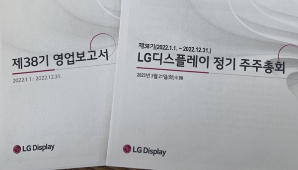 LG디스플레이 김성현 CFO "올해 좋은 성과 내겠다" - 전자부품 전문 미디어 디일렉