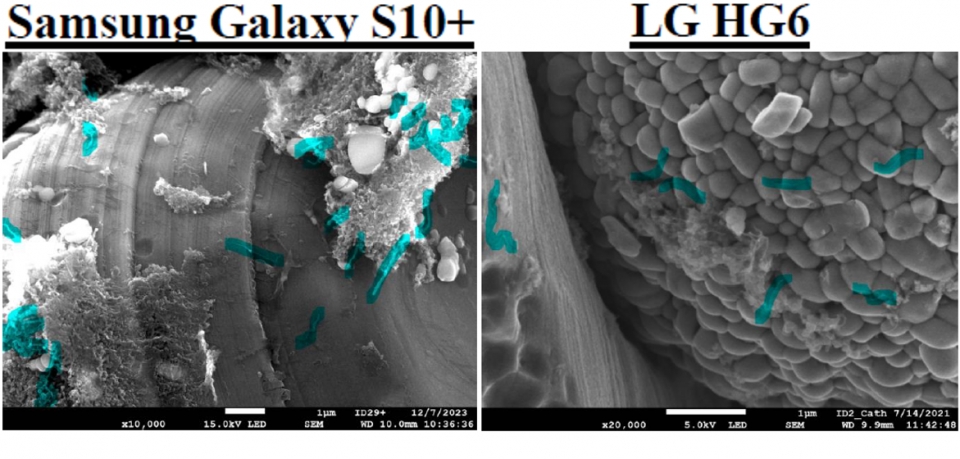 美탄소나노튜브 업체, 삼성전자·LG엔솔에 동시 특허소송 제기 - Kollo
